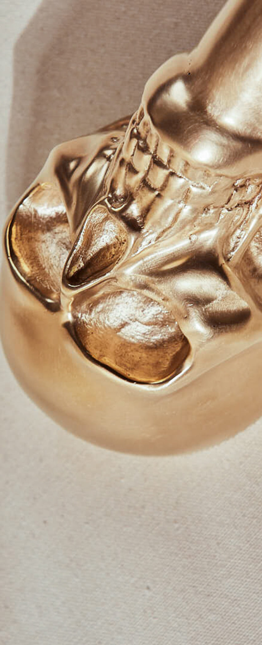 Skull Pull – Taannaz