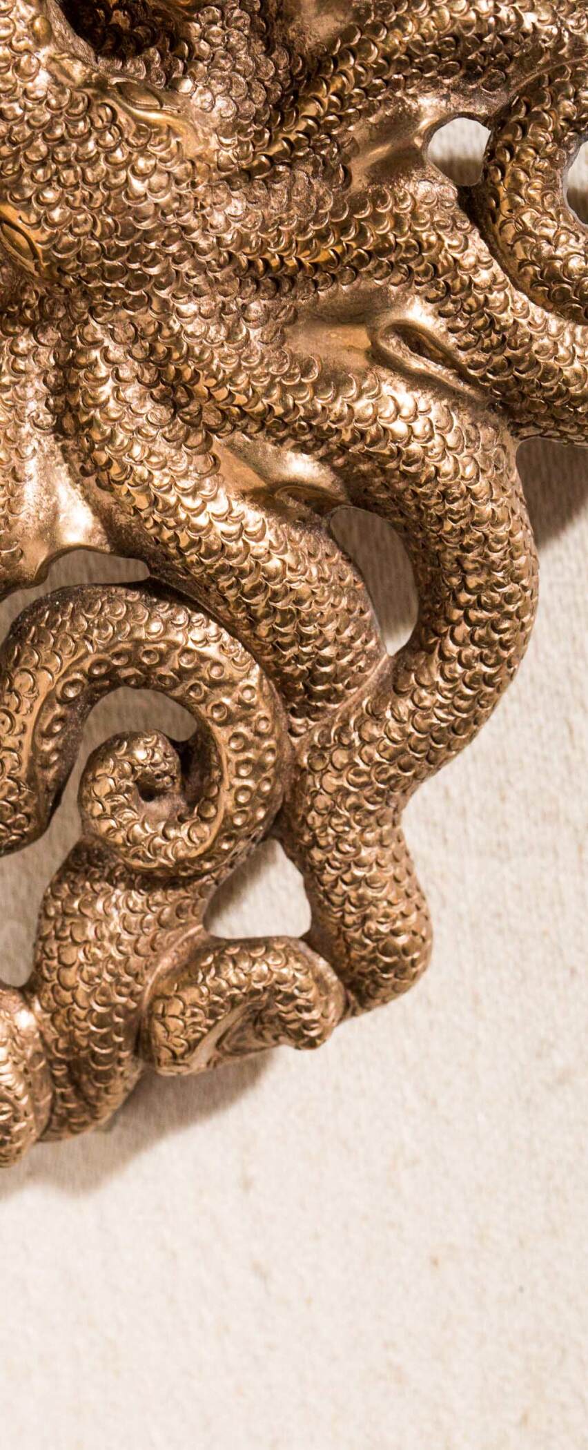 Octopus Pull – Taannaz