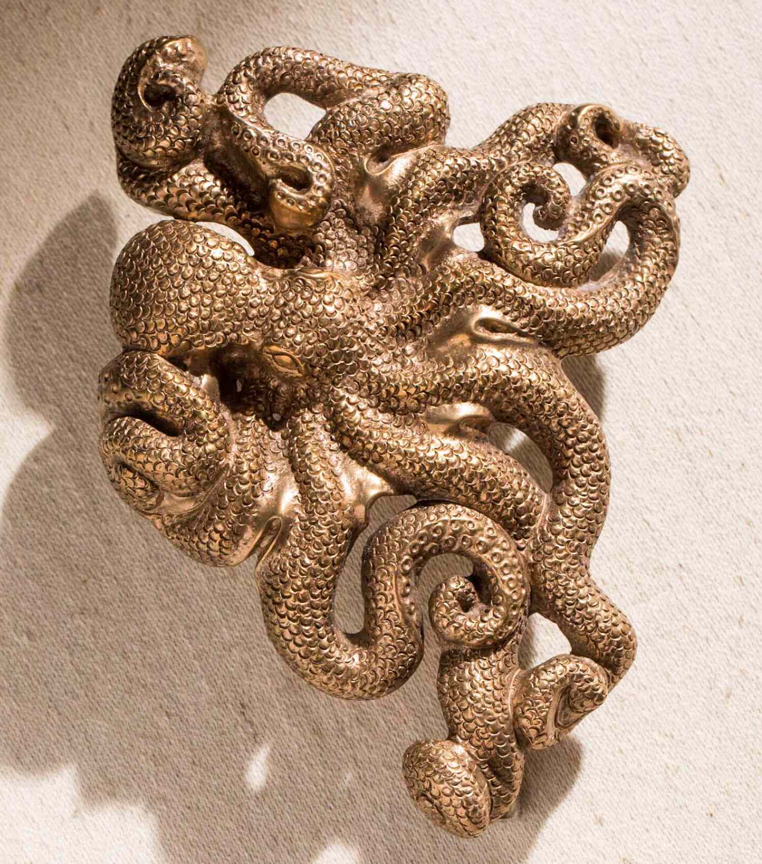 Octopus Pull – Taannaz