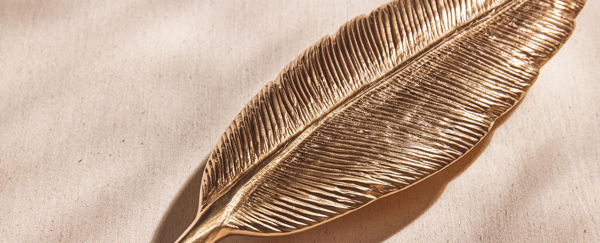 Quill Pull – Taannaz