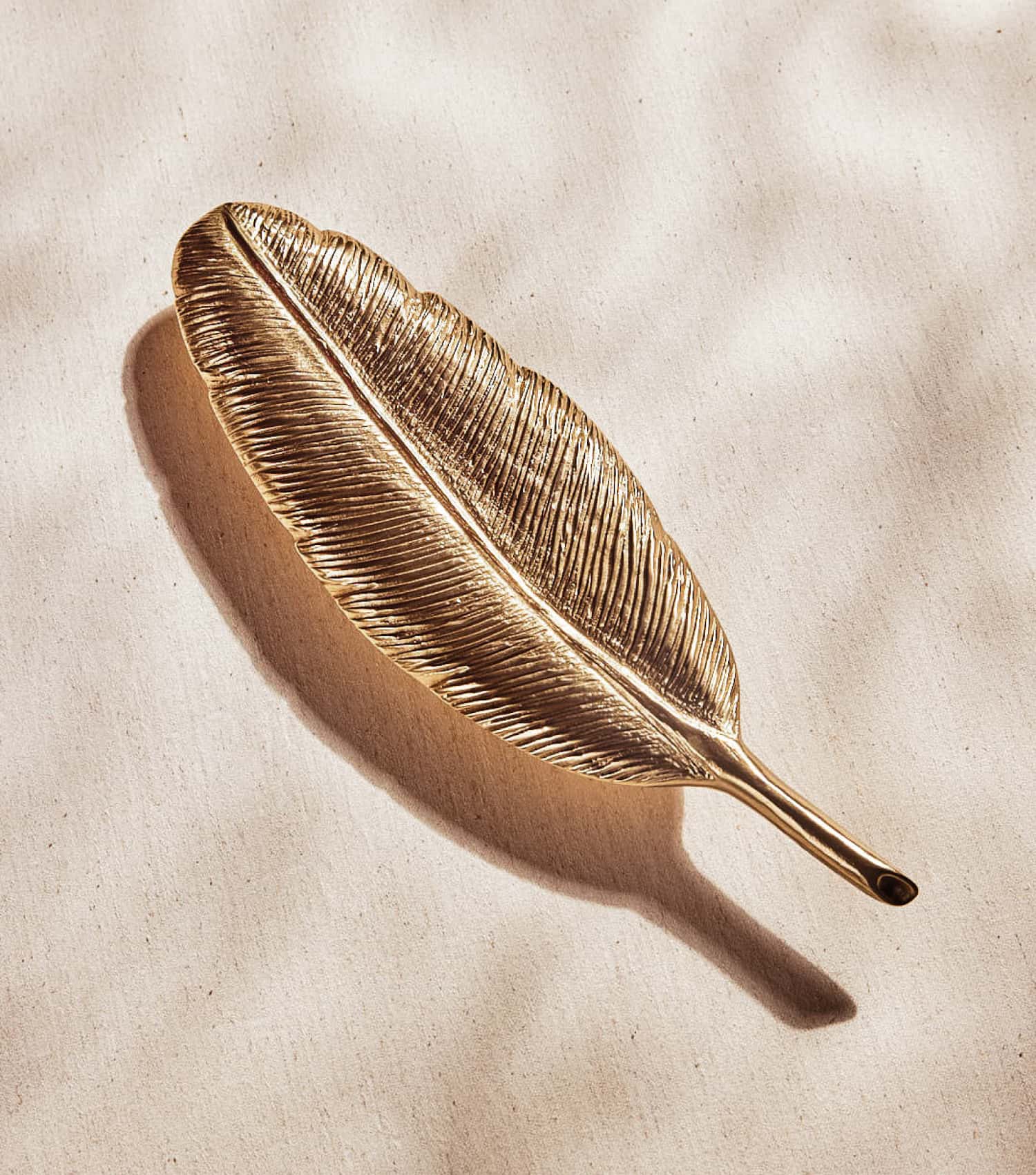 Quill Pull – Taannaz