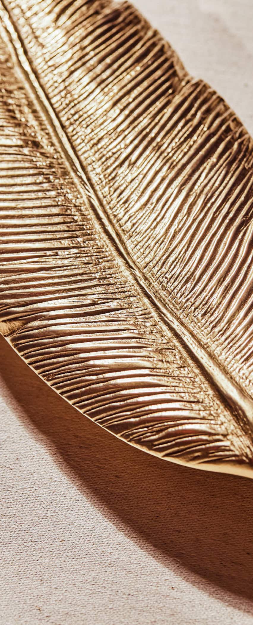 Quill Pull – Taannaz