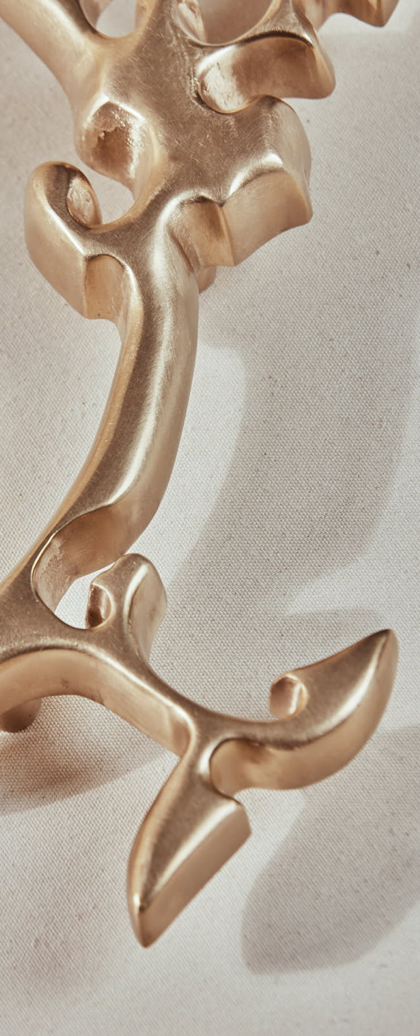 Plumage Pull – Taannaz