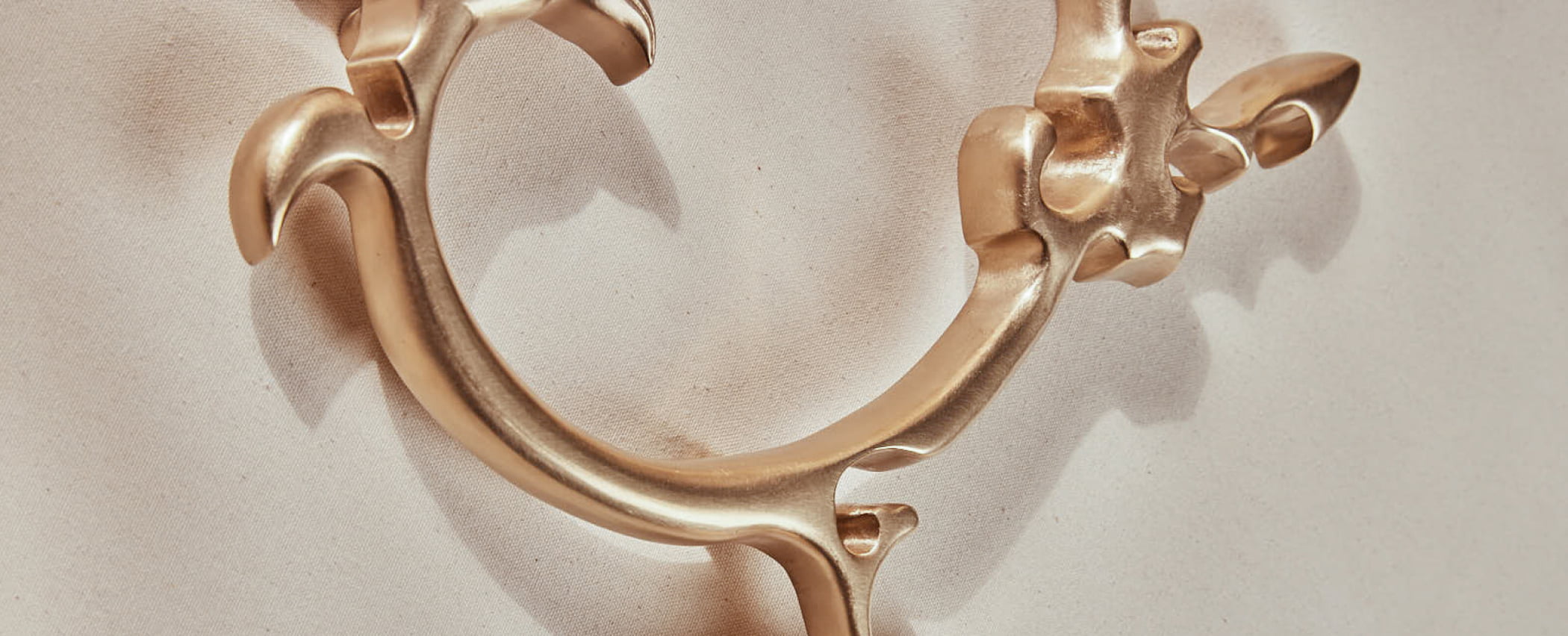 Plumage Pull – Taannaz